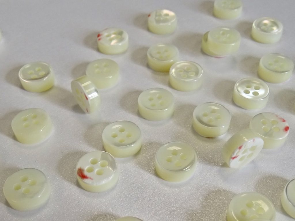 White Trocas Shell Buttons – Chin laguna Co., ltd