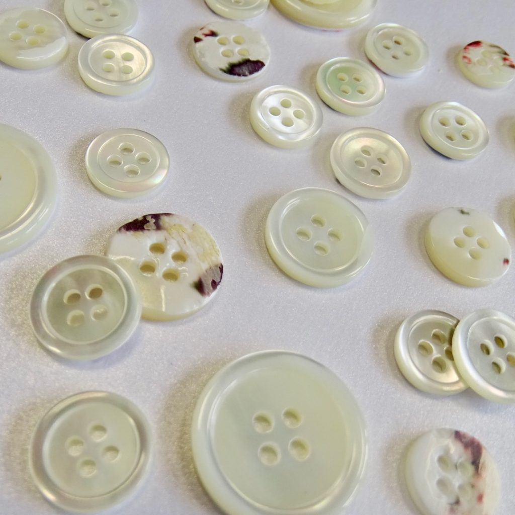 White Trocas Shell Buttons – Chin laguna Co., ltd